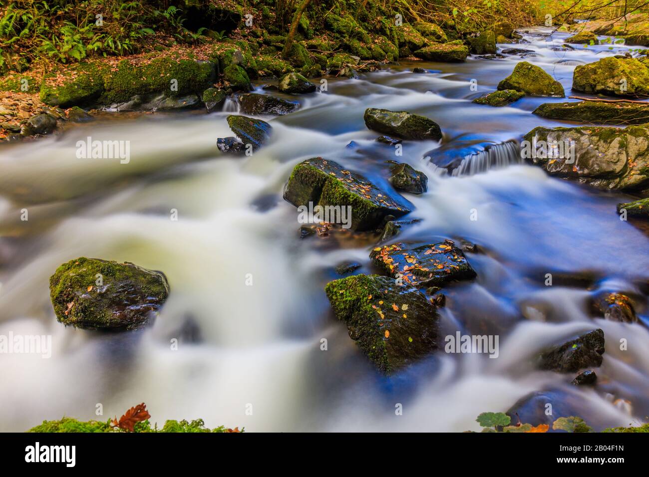 National trust devon hi-res stock photography and images - Alamy