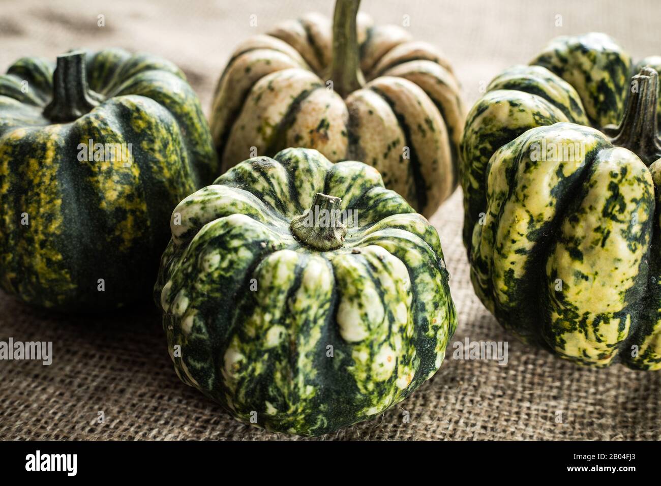 sweet dumpling pumpkin Stock Photo - Alamy