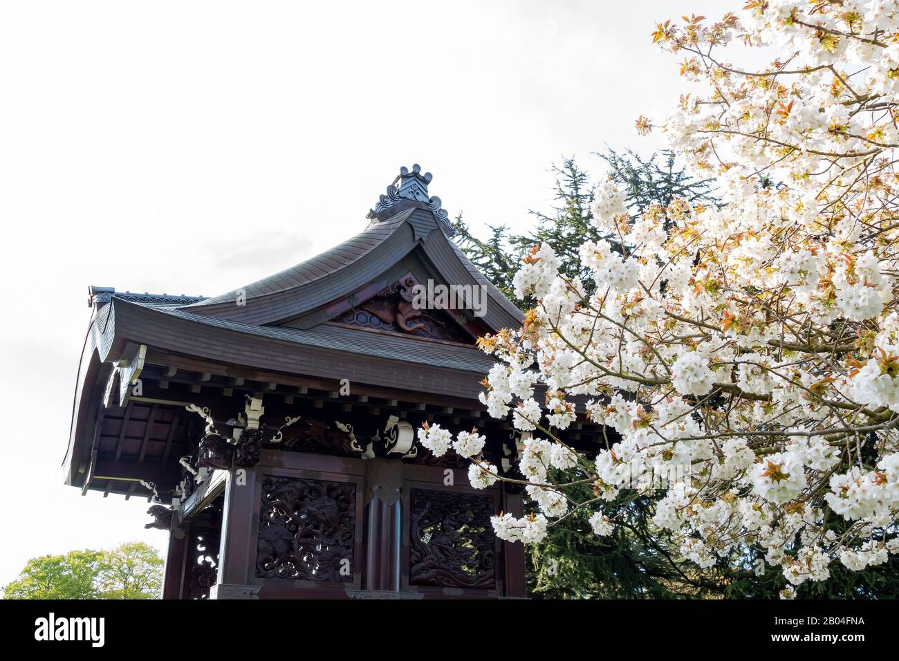 Royal botanic gardens kew cherry hi-res stock photography and images ...