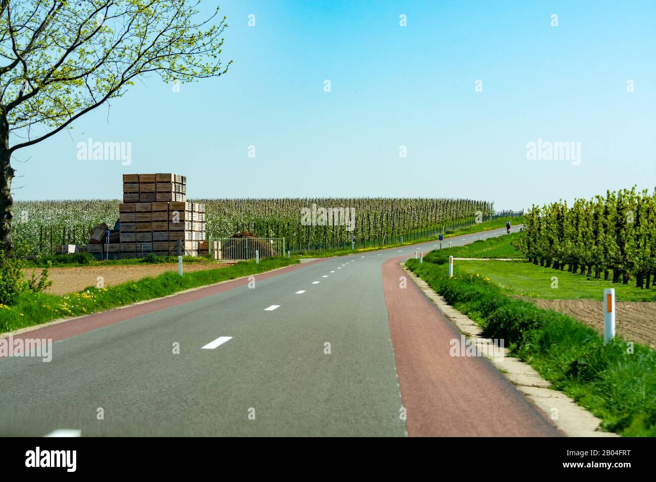 Asphalt road and spring landscape with farmers plowed fields and green ...