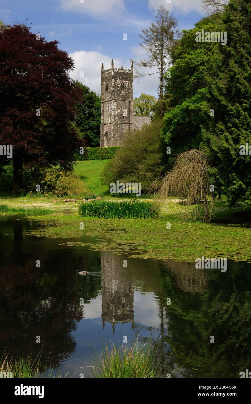 Reflecting in a garden pond hi-res stock photography and images - Alamy
