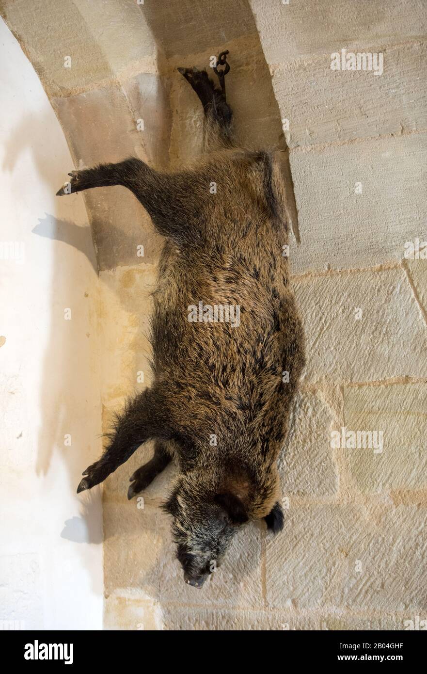 Castelnaud, Dordogne, France - September 7, 2018: Hunting trophies ...