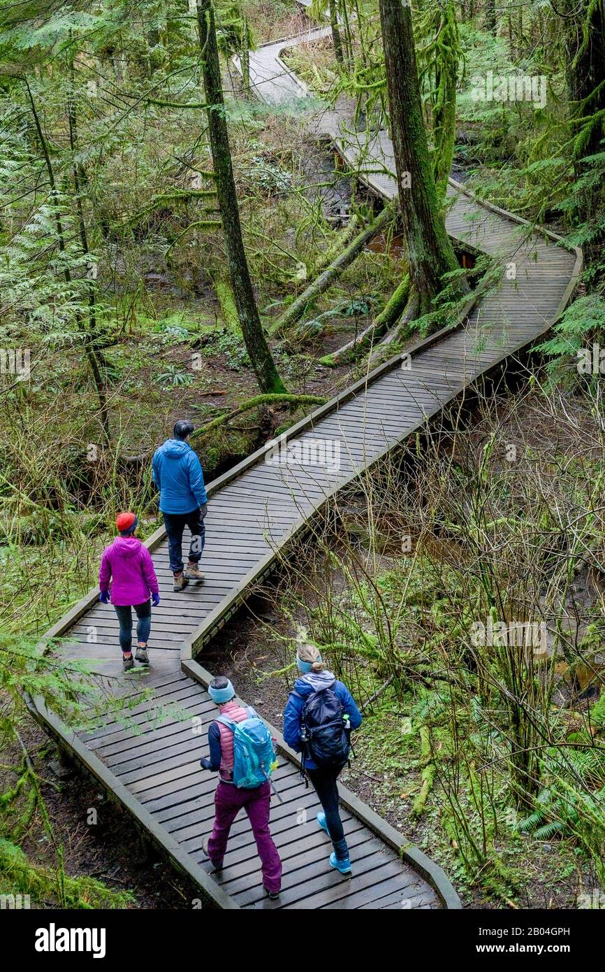 Lynn headwaters regional park hi-res stock photography and images - Alamy