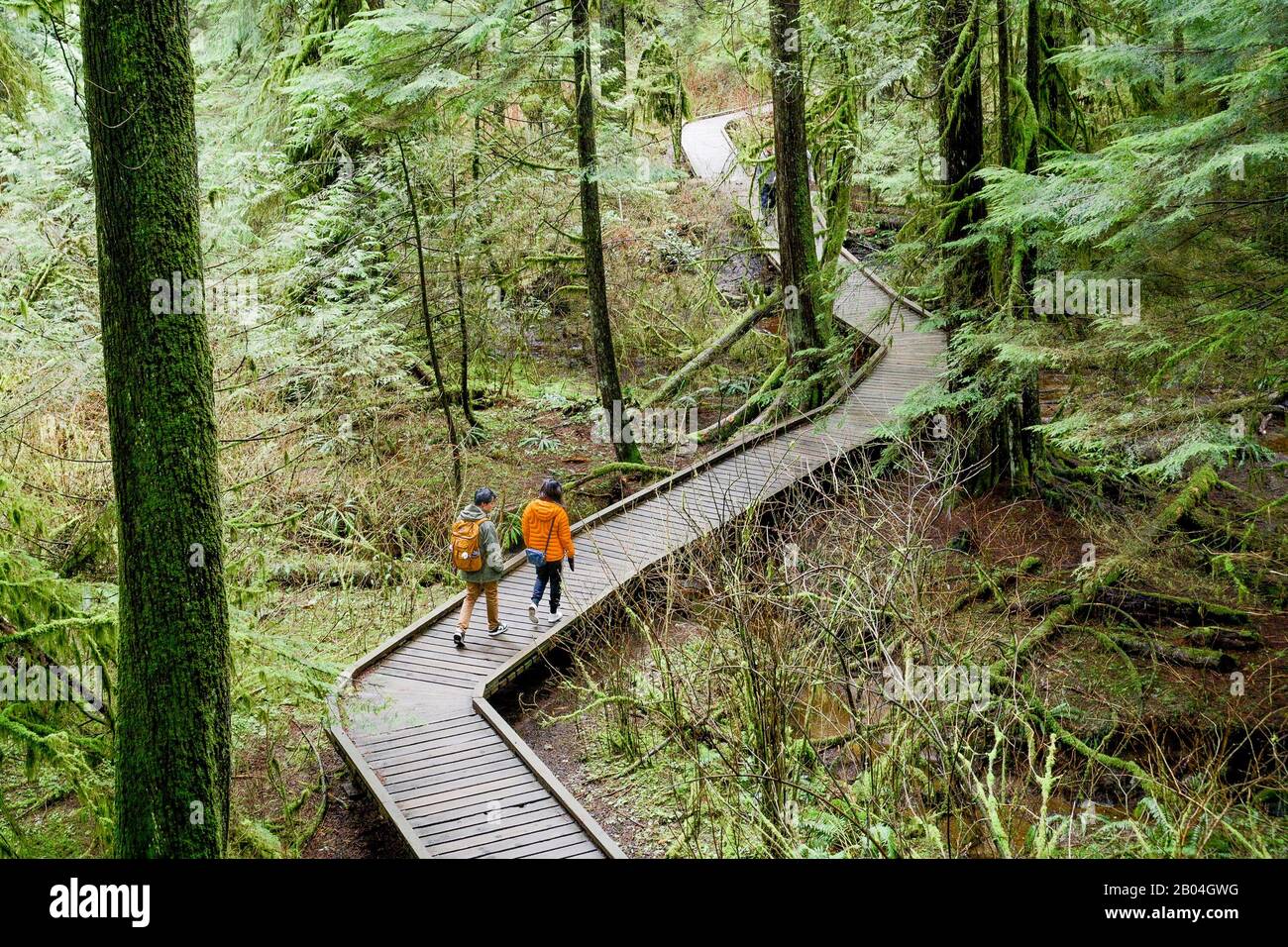 Hikers on Varley trail boardwalk, Lynn Headwaters Regional Park North ...
