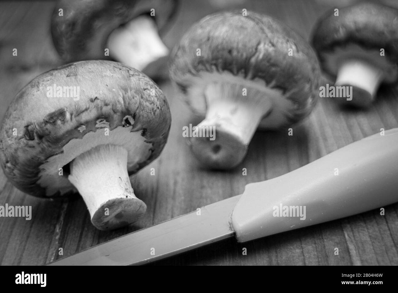 Mushroom fresh Black and White Stock Photos & Images - Alamy