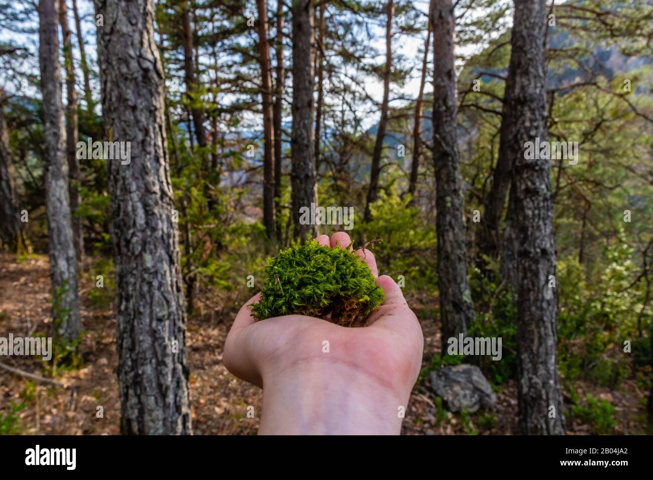 Loving nature hi-res stock photography and images - Alamy