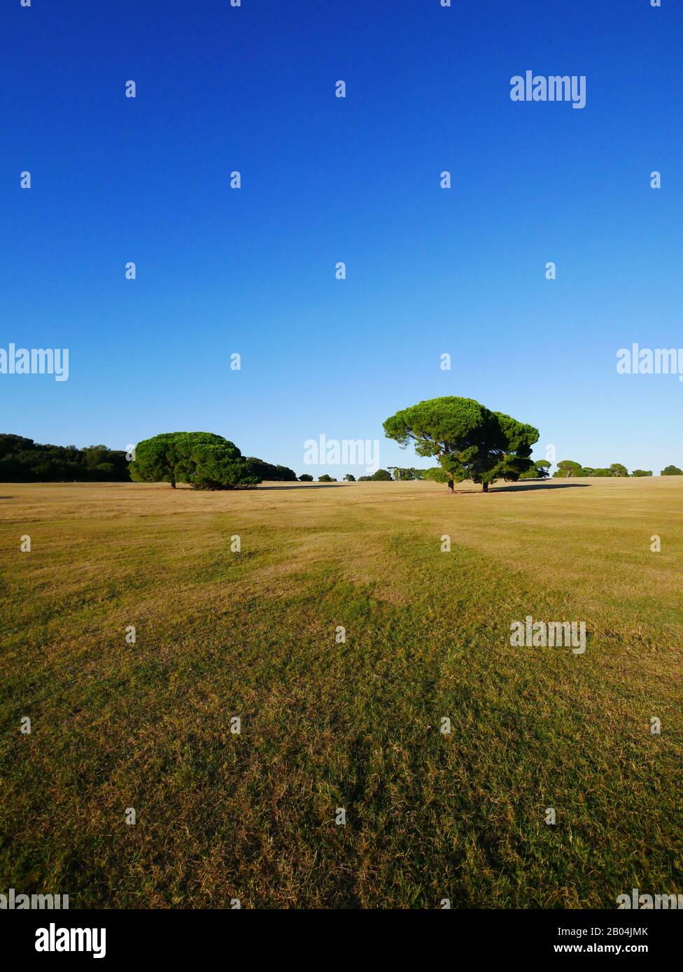 Brijuni croatia hi-res stock photography and images - Alamy