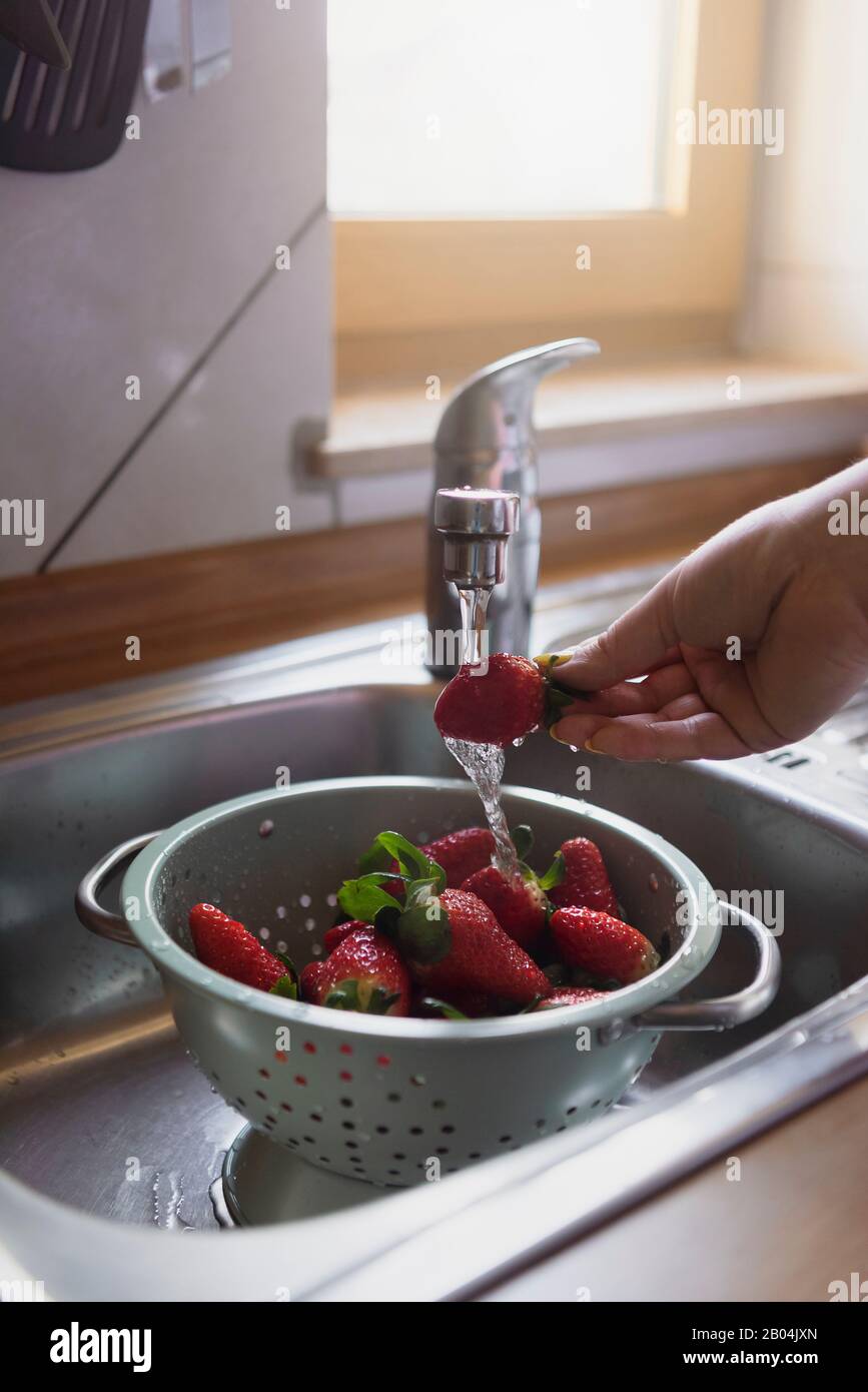 Woman hand washing organic strawberries in a colander, in the kitchen ...