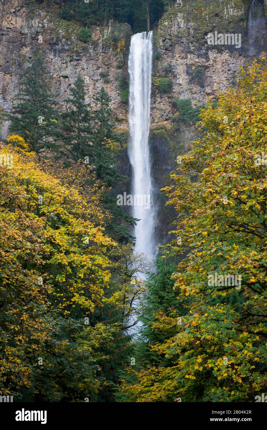View of Multnomah Falls in the fall, a waterfall near Portland along ...