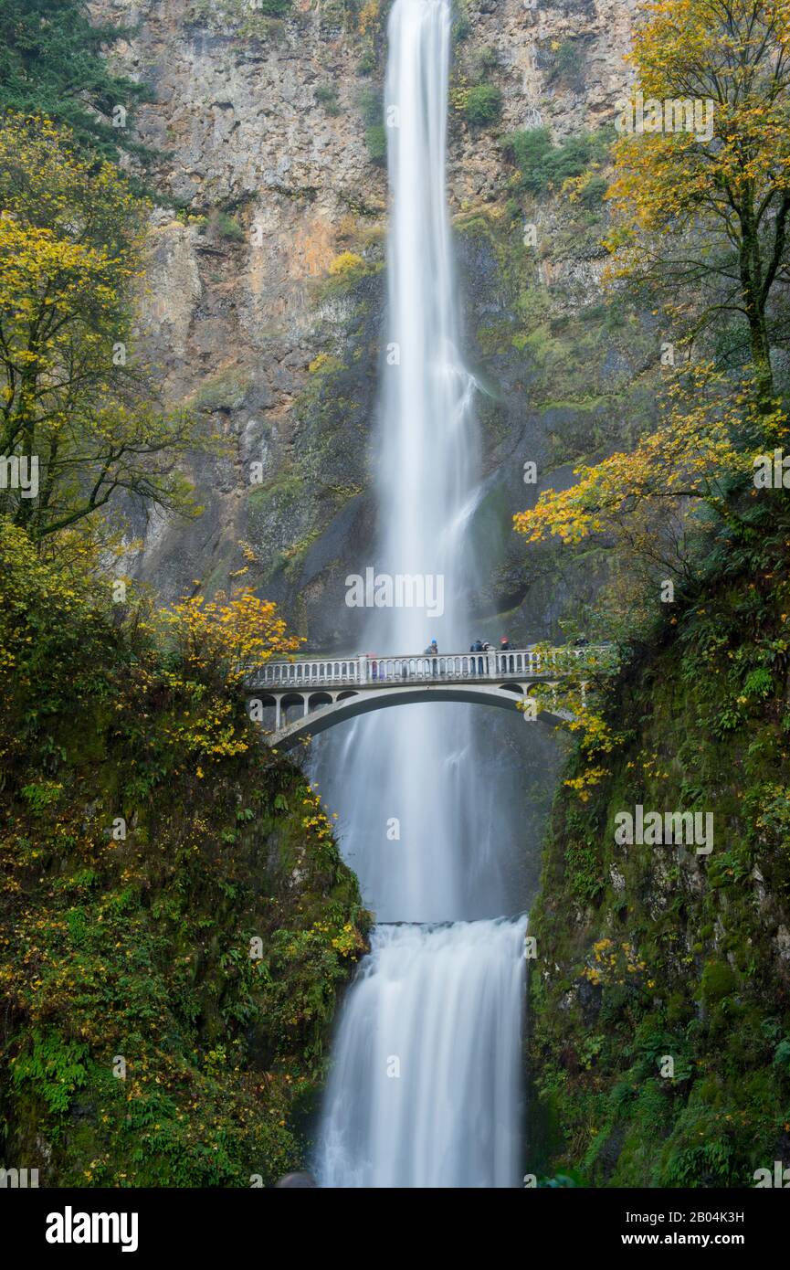 Multnomah Falls Bridge Collapse