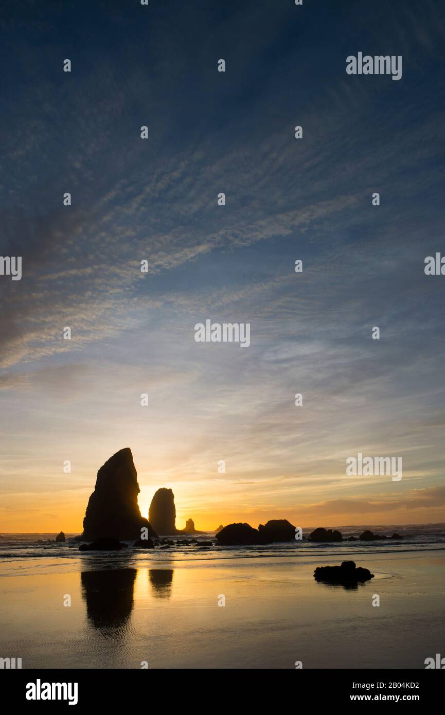 Sea stacks silhouetted at sunset during low tide at Cannon Beach on the ...