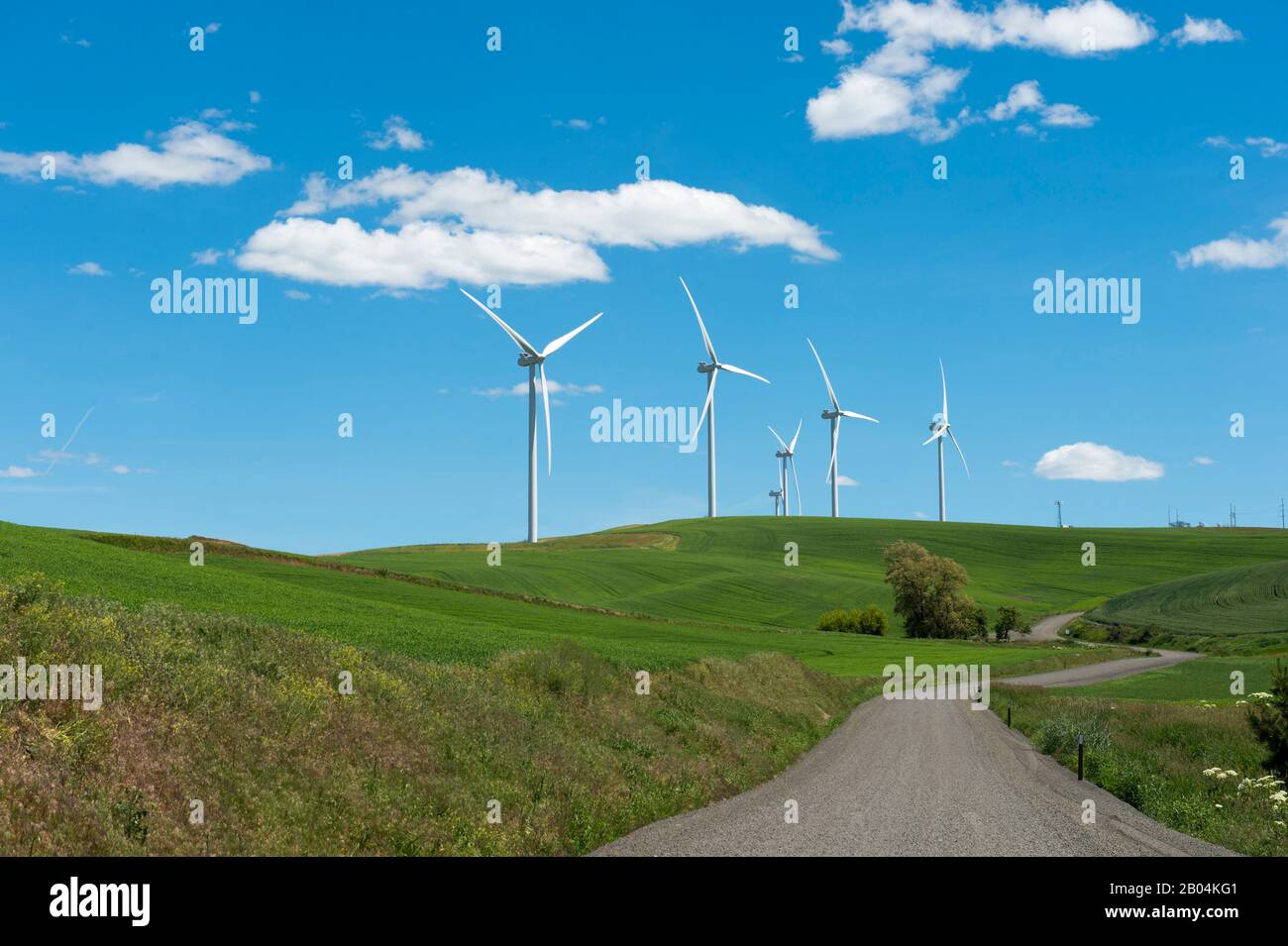 View of the Rosalia Wind Farm with gravel road near Oaksdale in the ...