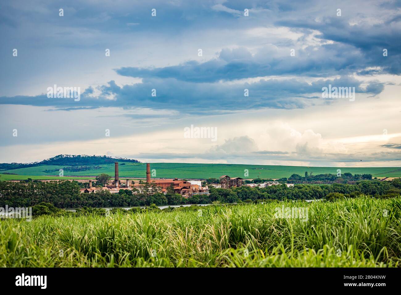 Sugar cane factory hi-res stock photography and images - Alamy