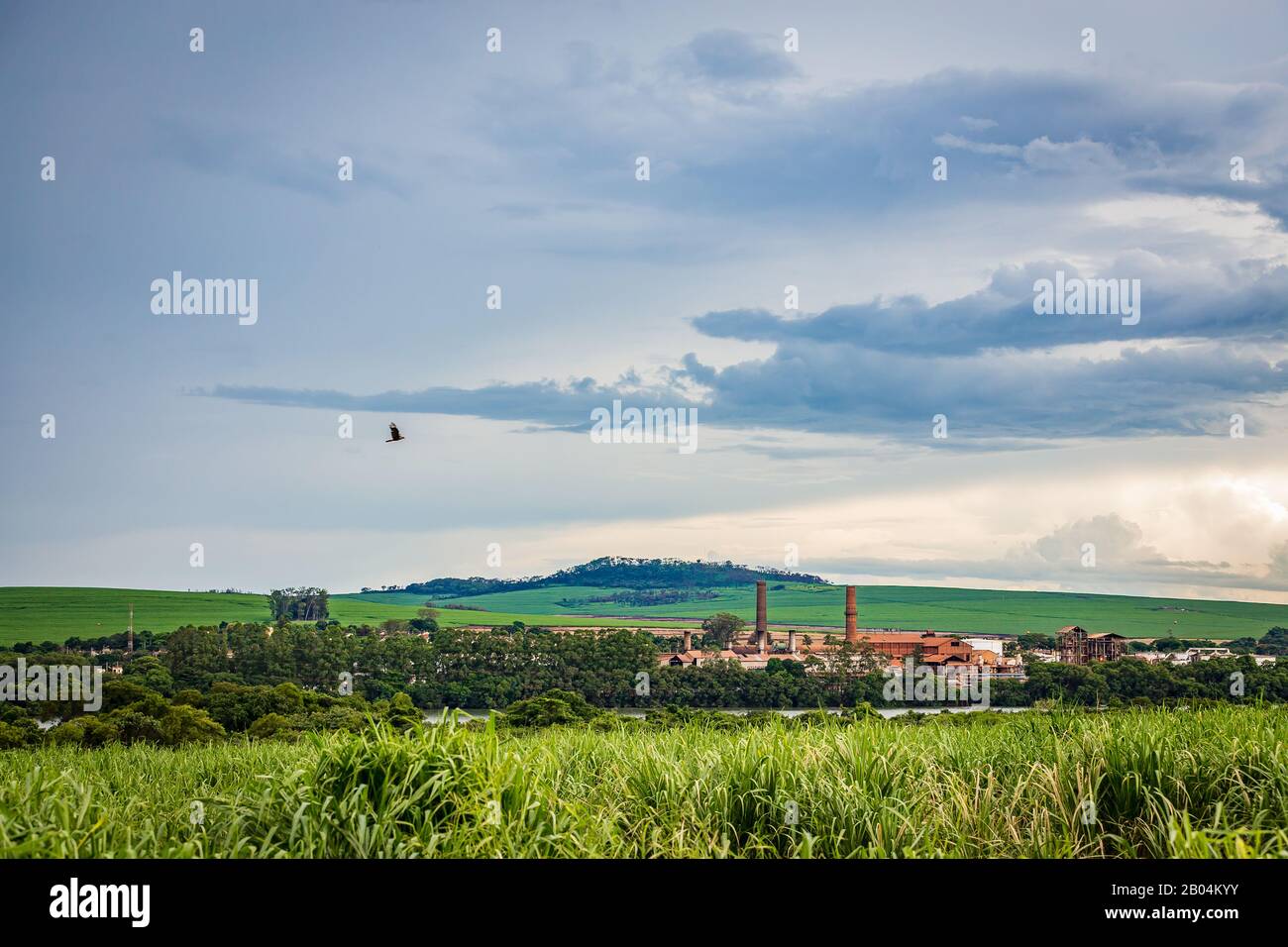 Sugarcane processing plant refinery hi-res stock photography and images ...