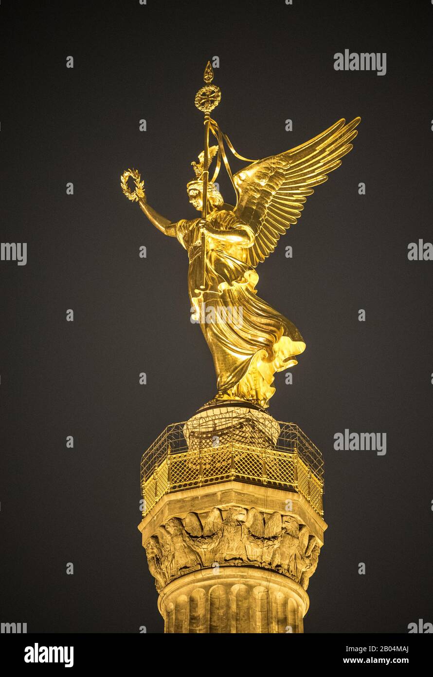 Goldelse High Resolution Stock Photography and Images - Alamy