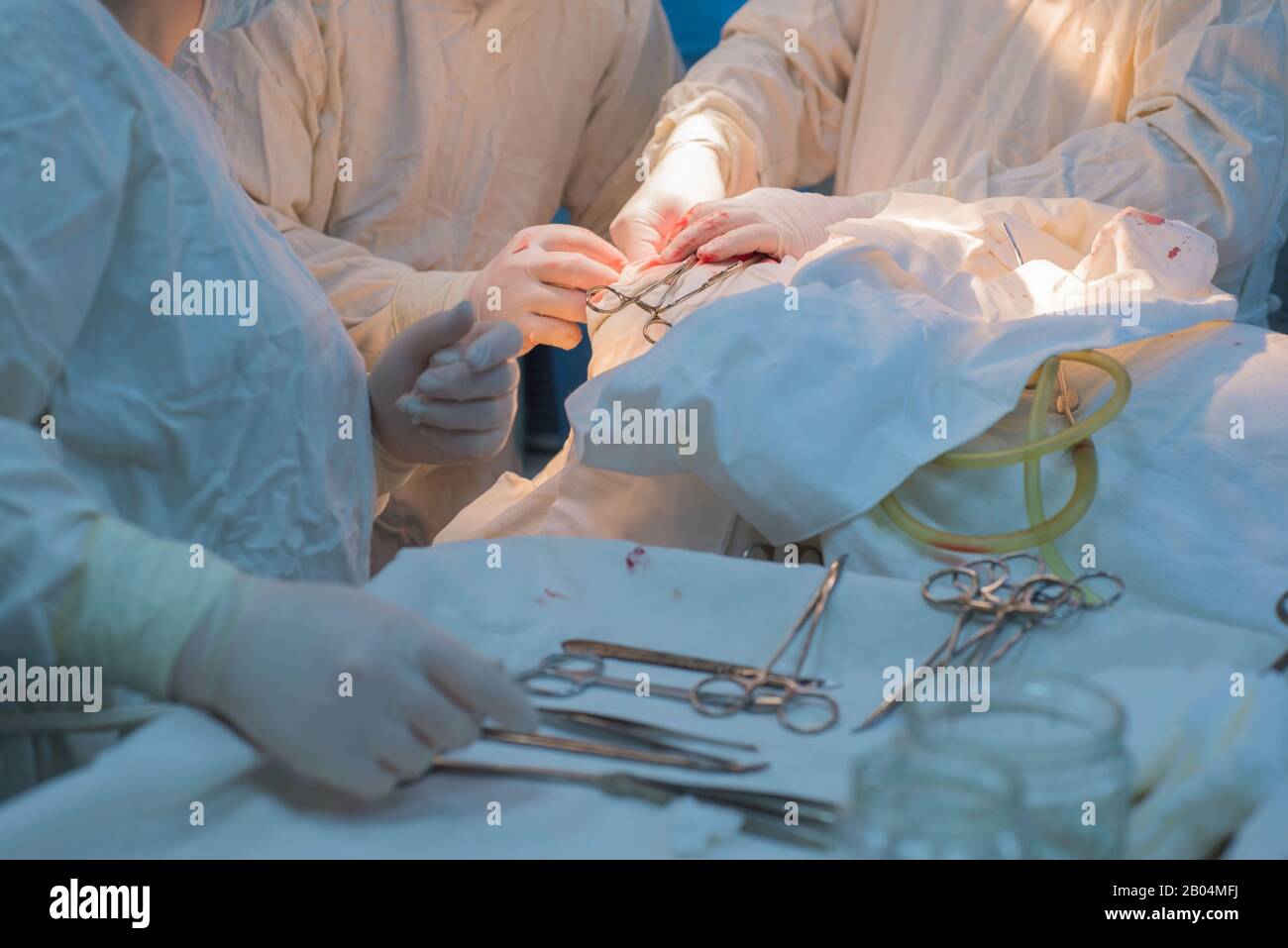 Medical team performing operation. Group of surgeon at work in ...