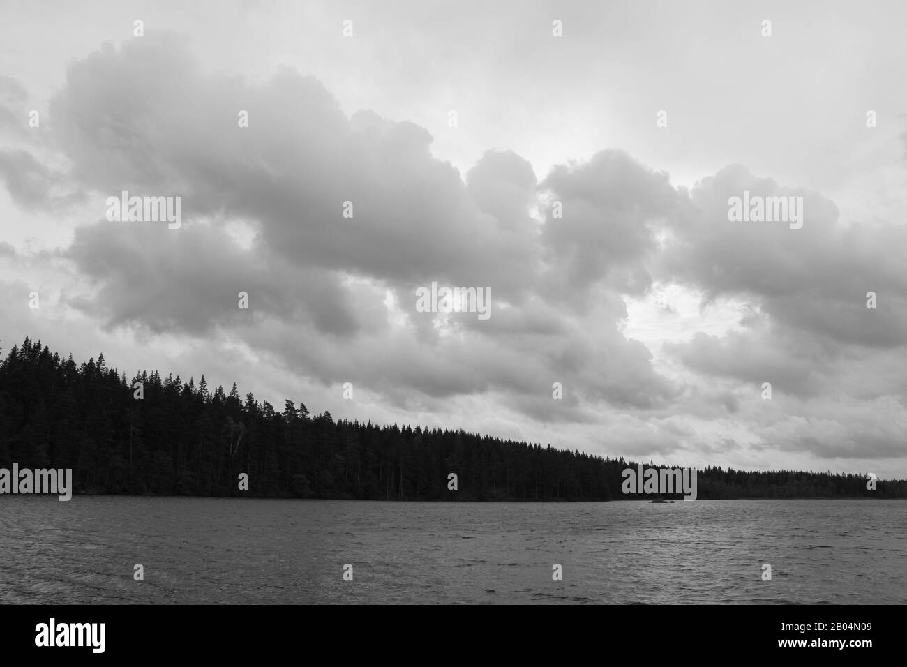 Strong wind nature Black and White Stock Photos & Images - Alamy