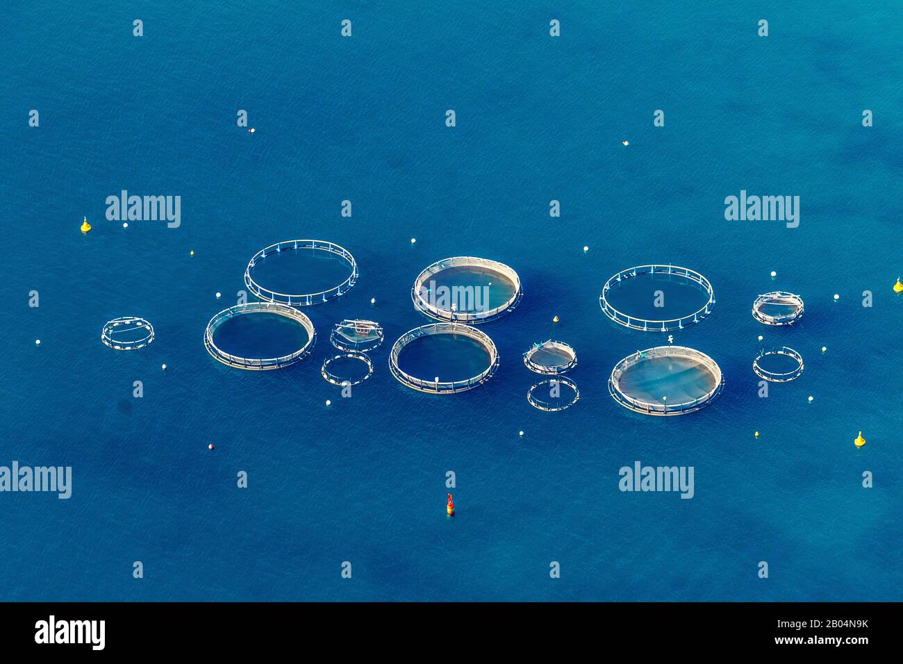 Aerial photo, fish farm aquaculture in the port of Port d'Andratx ...
