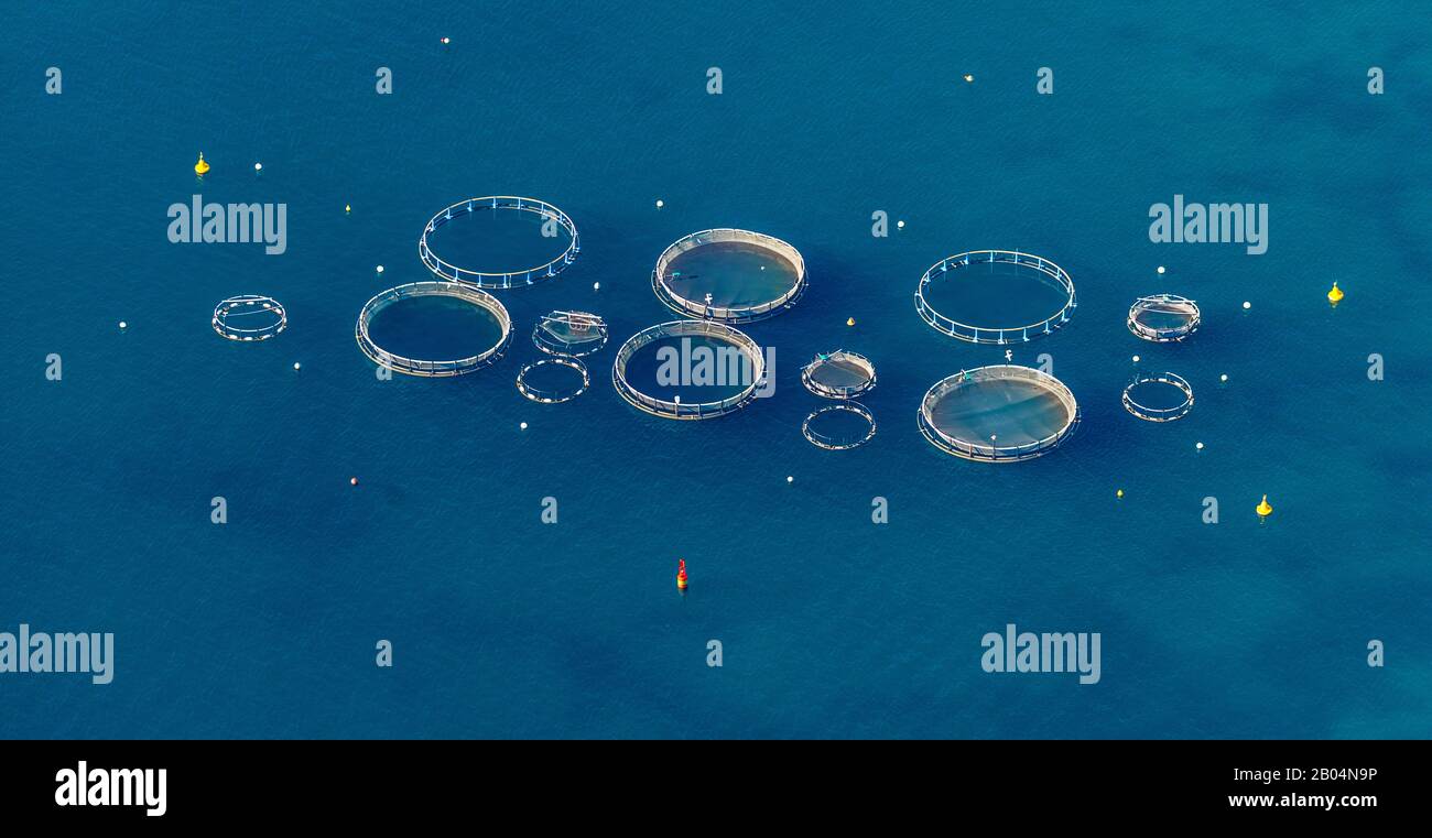 Aerial photo, fish farm aquaculture in the port of Port d'Andratx ...