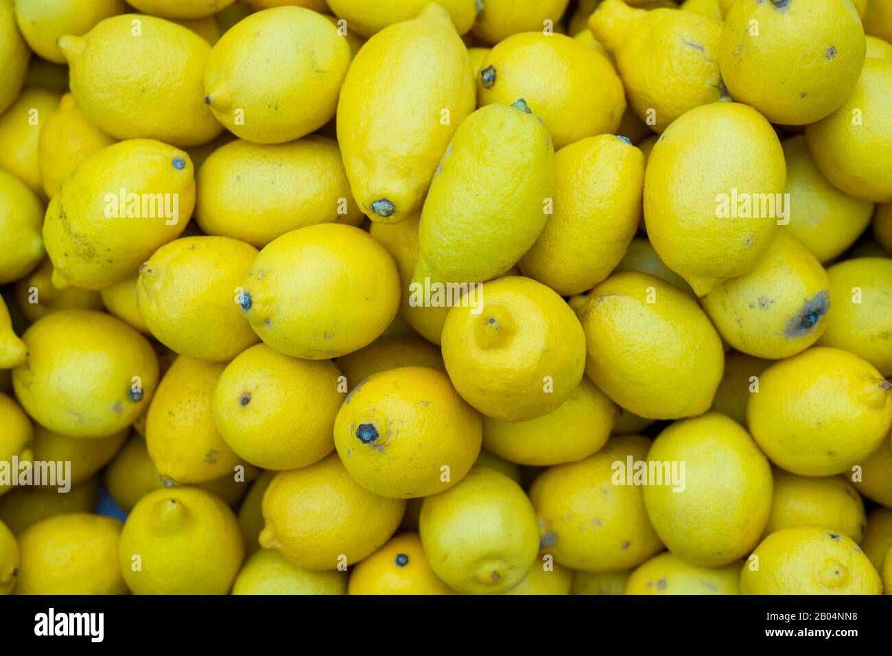 Colorful Display Of Lemons In Markettop view of a lemon texture, behind ...