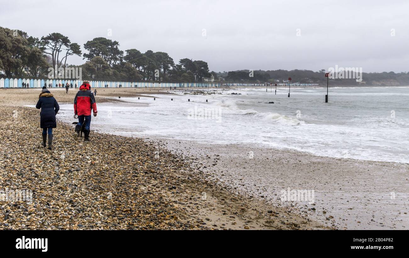 People taking walking their dog along Avon beach, Mudeford, Dorset, UK ...