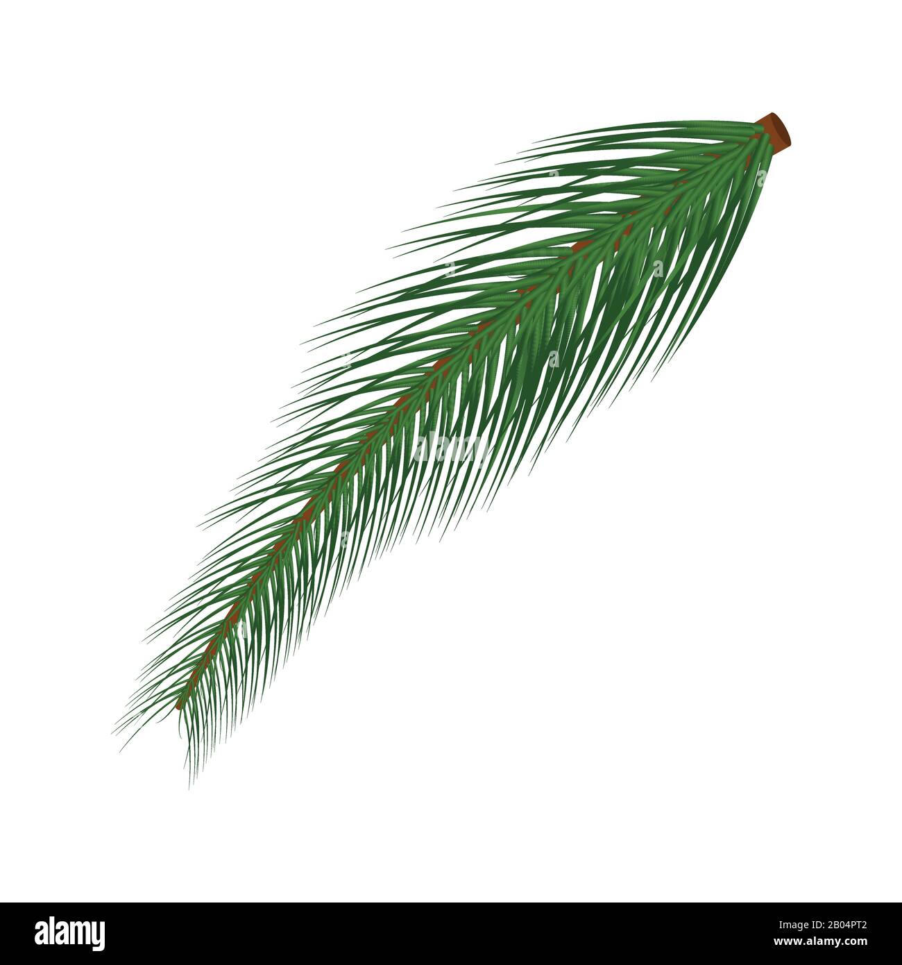 Branch of Christmas tree vector illustration isolated on white ...