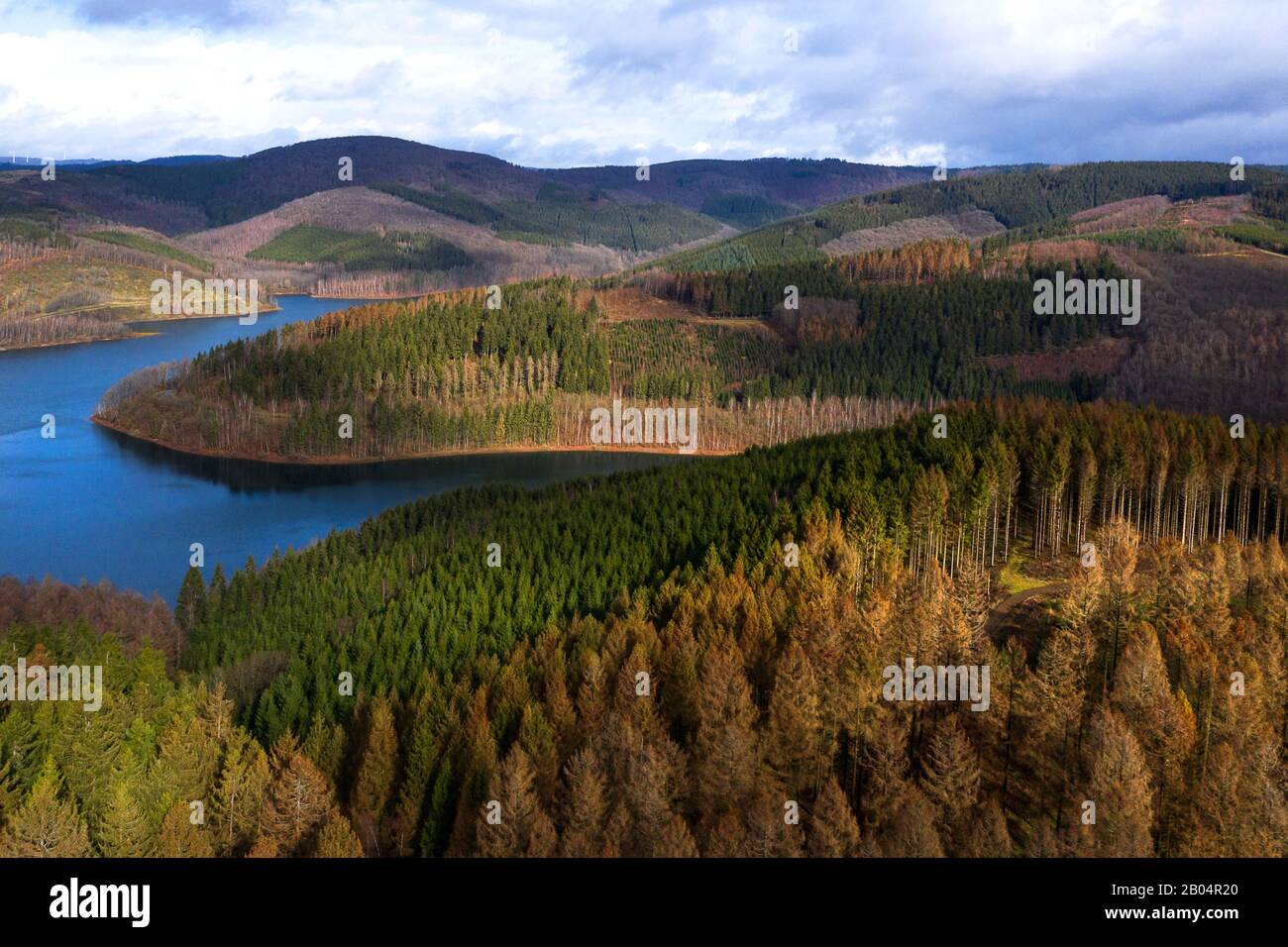 needle forest and lake landscape from above Stock Photo - Alamy