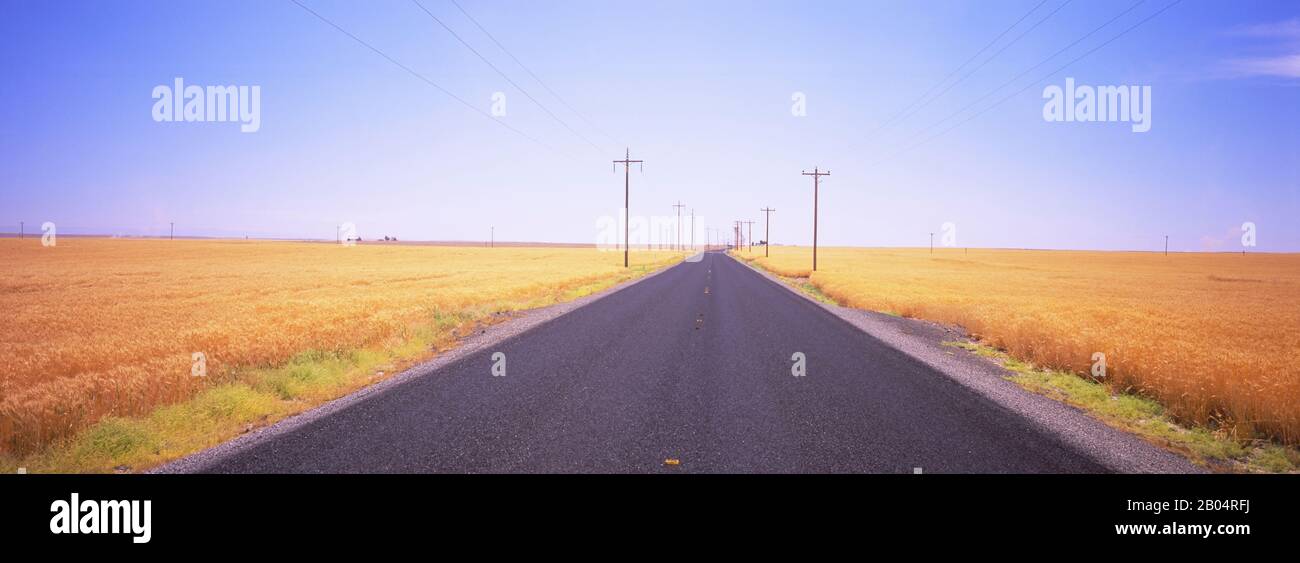Asphalt road through wheat hi-res stock photography and images - Alamy