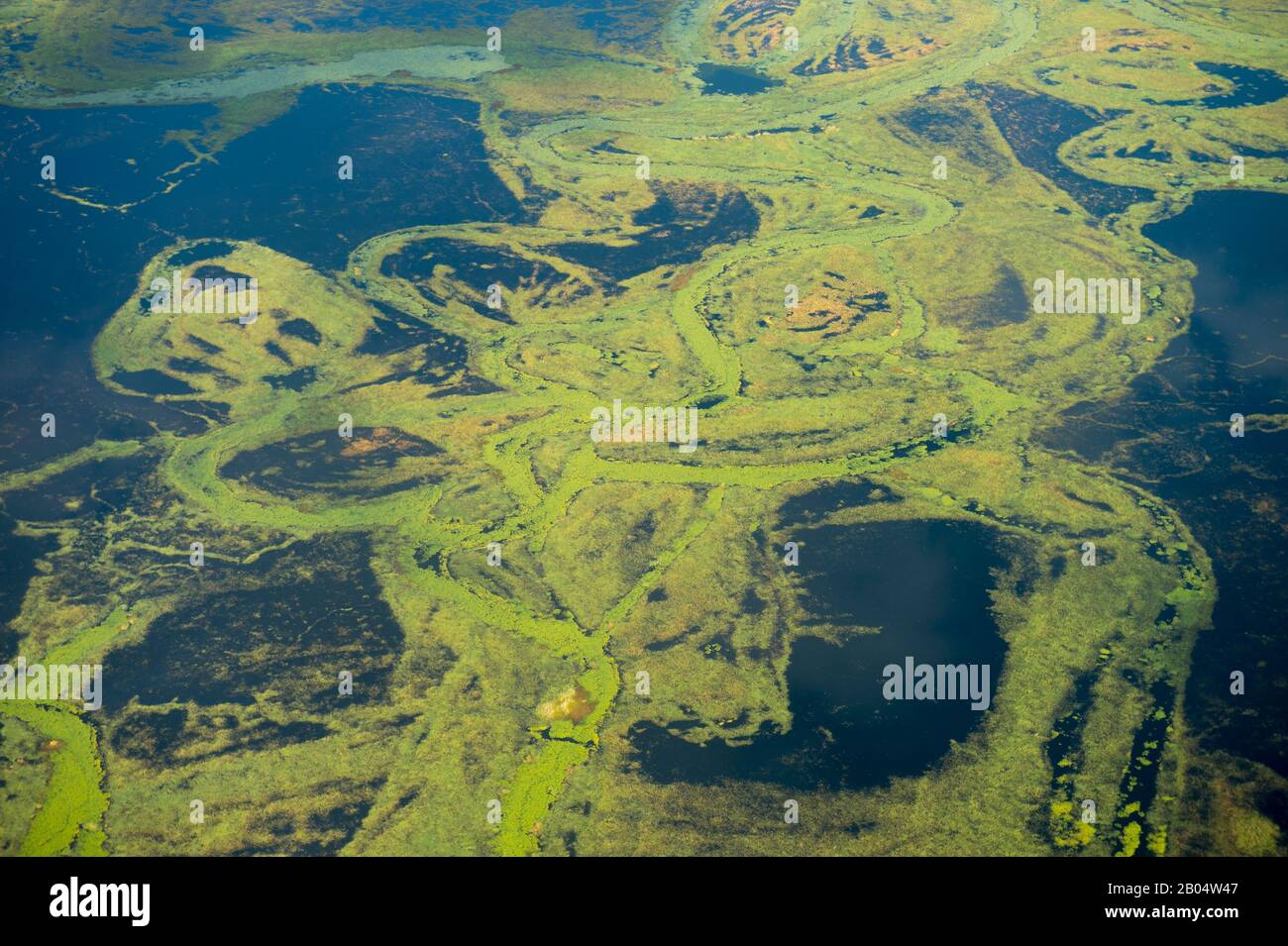 Aerial view of the Okavango Delta in northern part of Botswana Stock ...