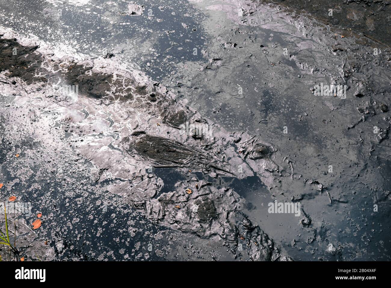 Oil spill on the ground. Nature pollution by toxic chemicals, dirty ...