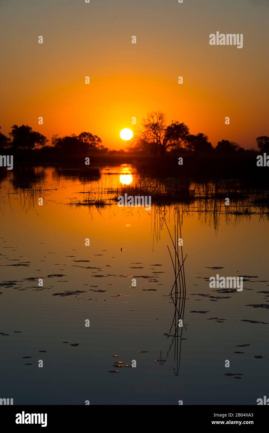 Sun setting over the Okavango Delta in northern part of Botswana Stock ...