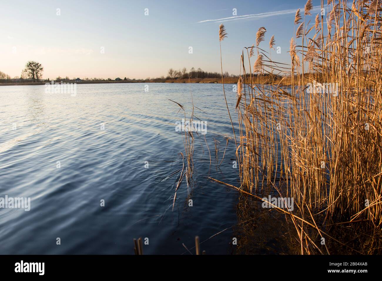 Water cane hi-res stock photography and images - Alamy