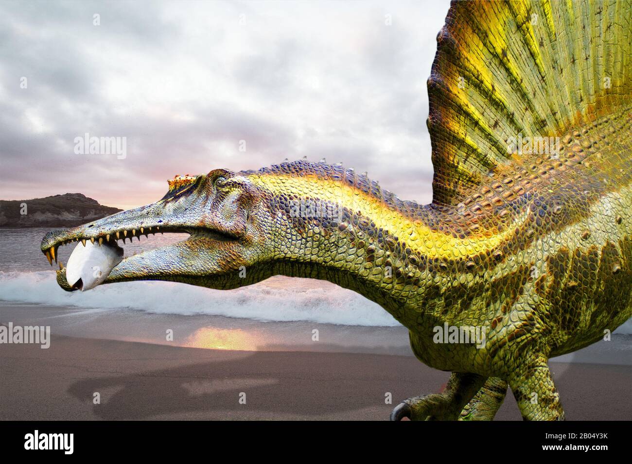 Spinosaurus fossils hi-res stock photography and images - Alamy