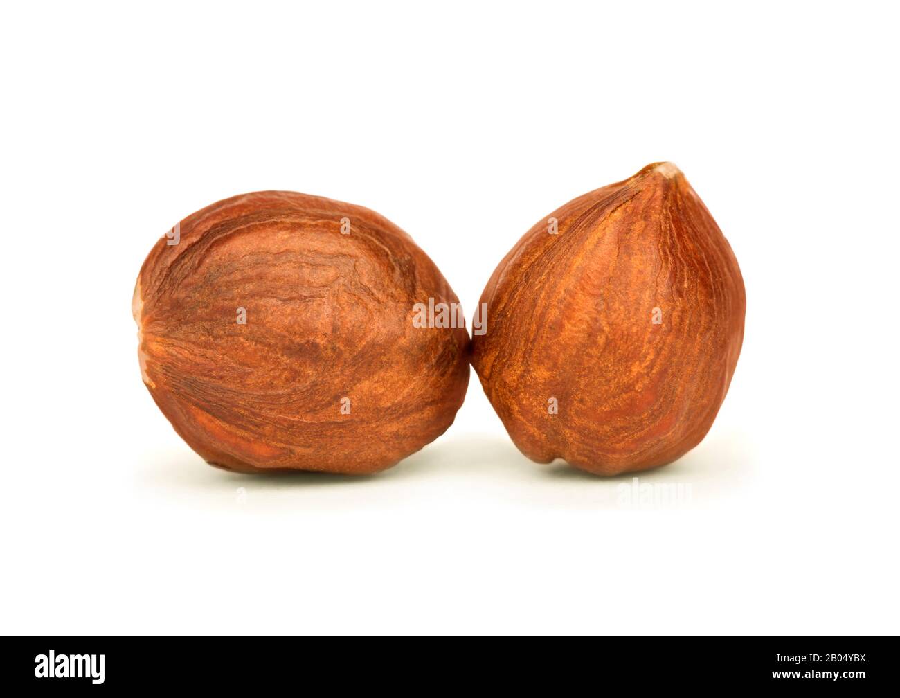 Two hazelnuts closeup isolated on white background Stock Photo - Alamy