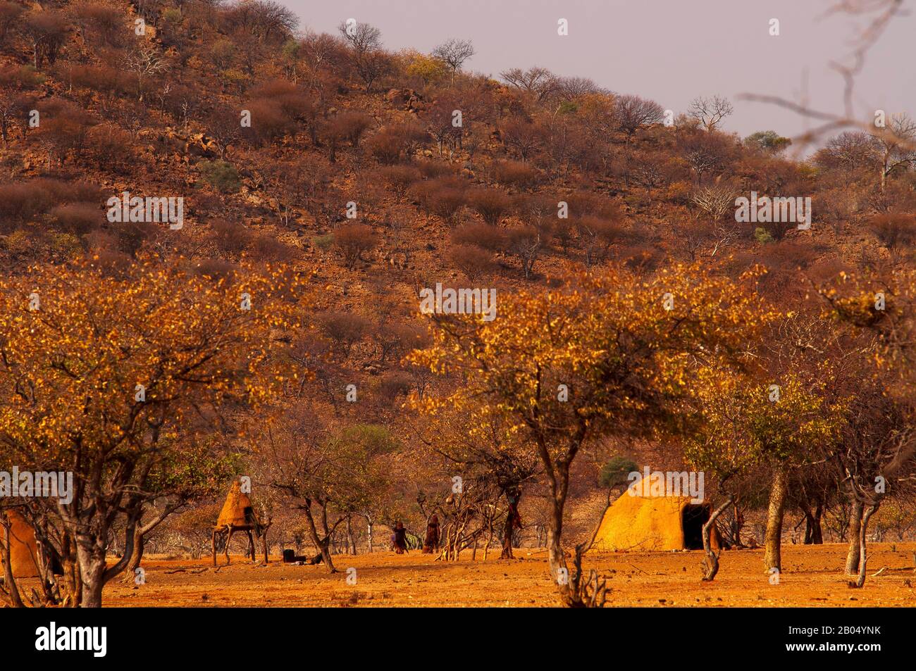 Himba village near Epupa Falls, Kunene Region, Namibia Stock Photo - Alamy