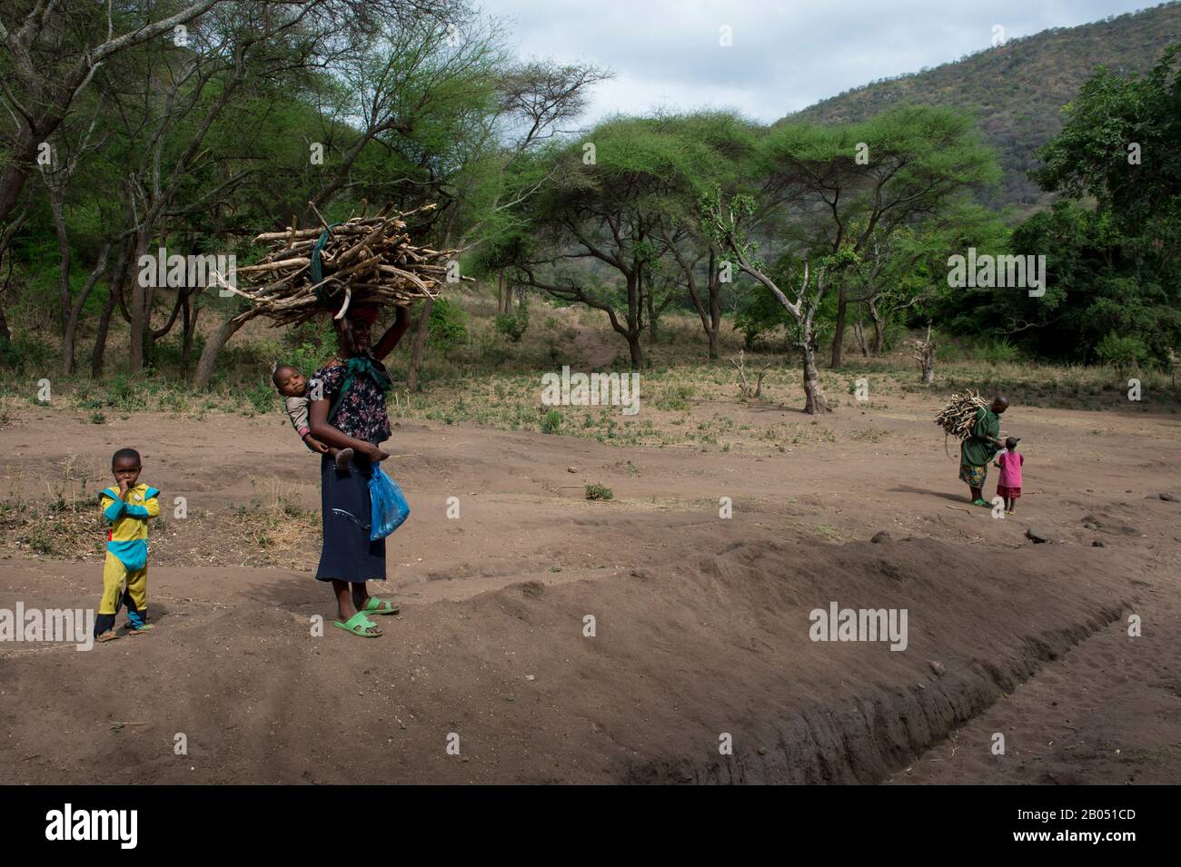 African woman carrying firewood hi-res stock photography and images - Alamy