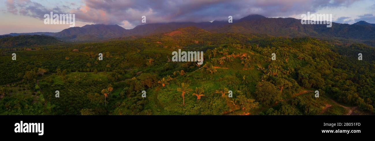 Fruits plantations and tropical forest, Aticama, San Juan Mountain ...