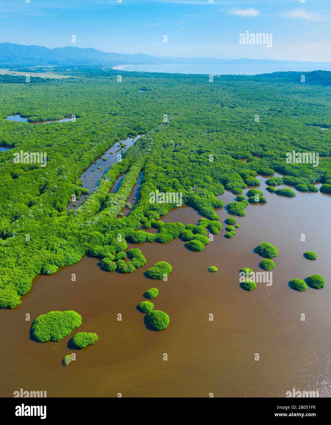 Mangrove, La Tovara National Park, Ramsar Site, Wetlands of ...