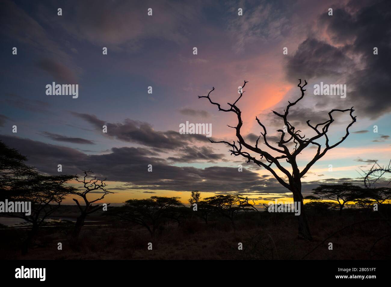 Sunrise at Lake Masek Luxury Tented Safari Camp in the Ngorongoro ...
