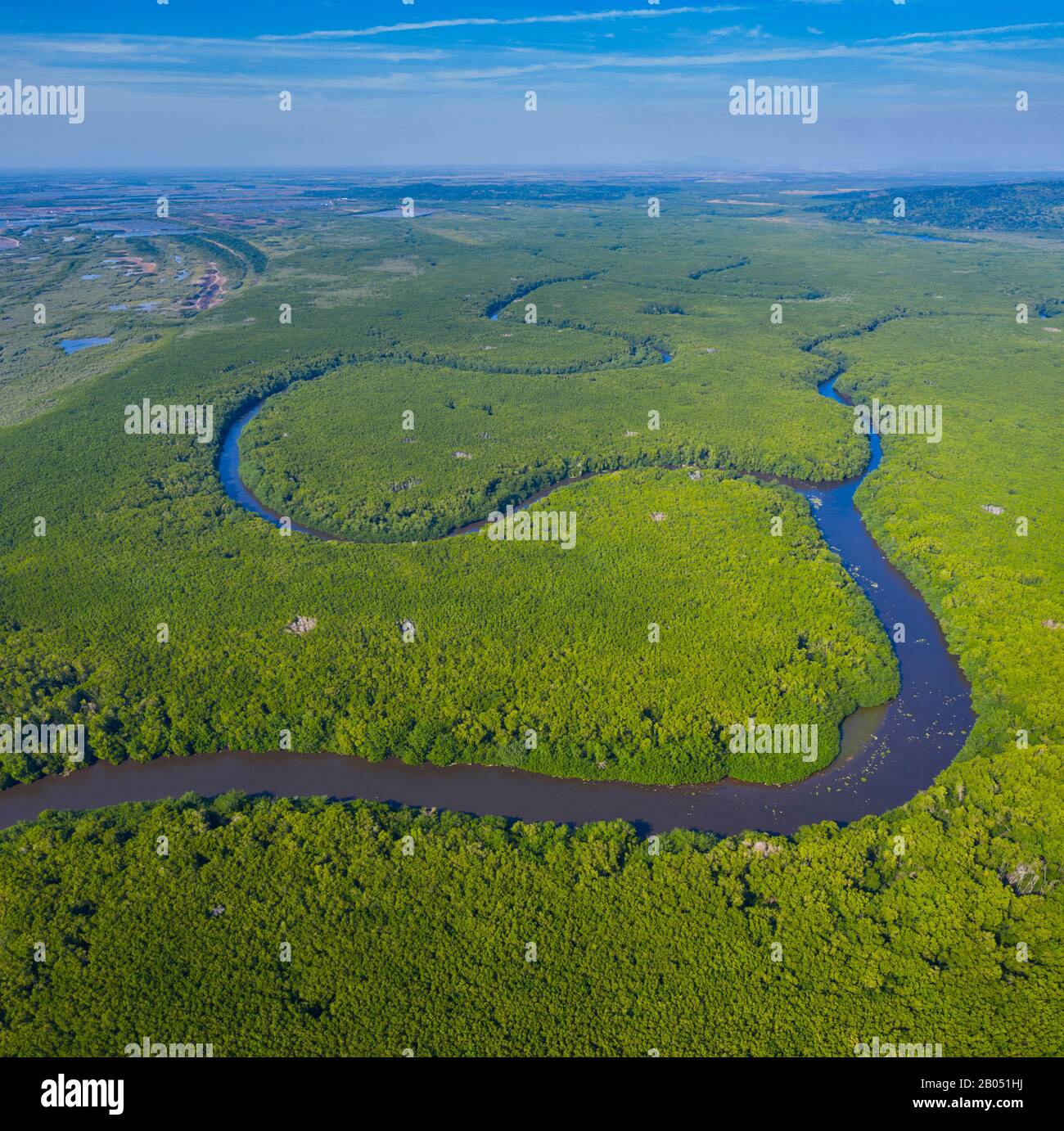 Nayarit mangrove hi-res stock photography and images - Alamy