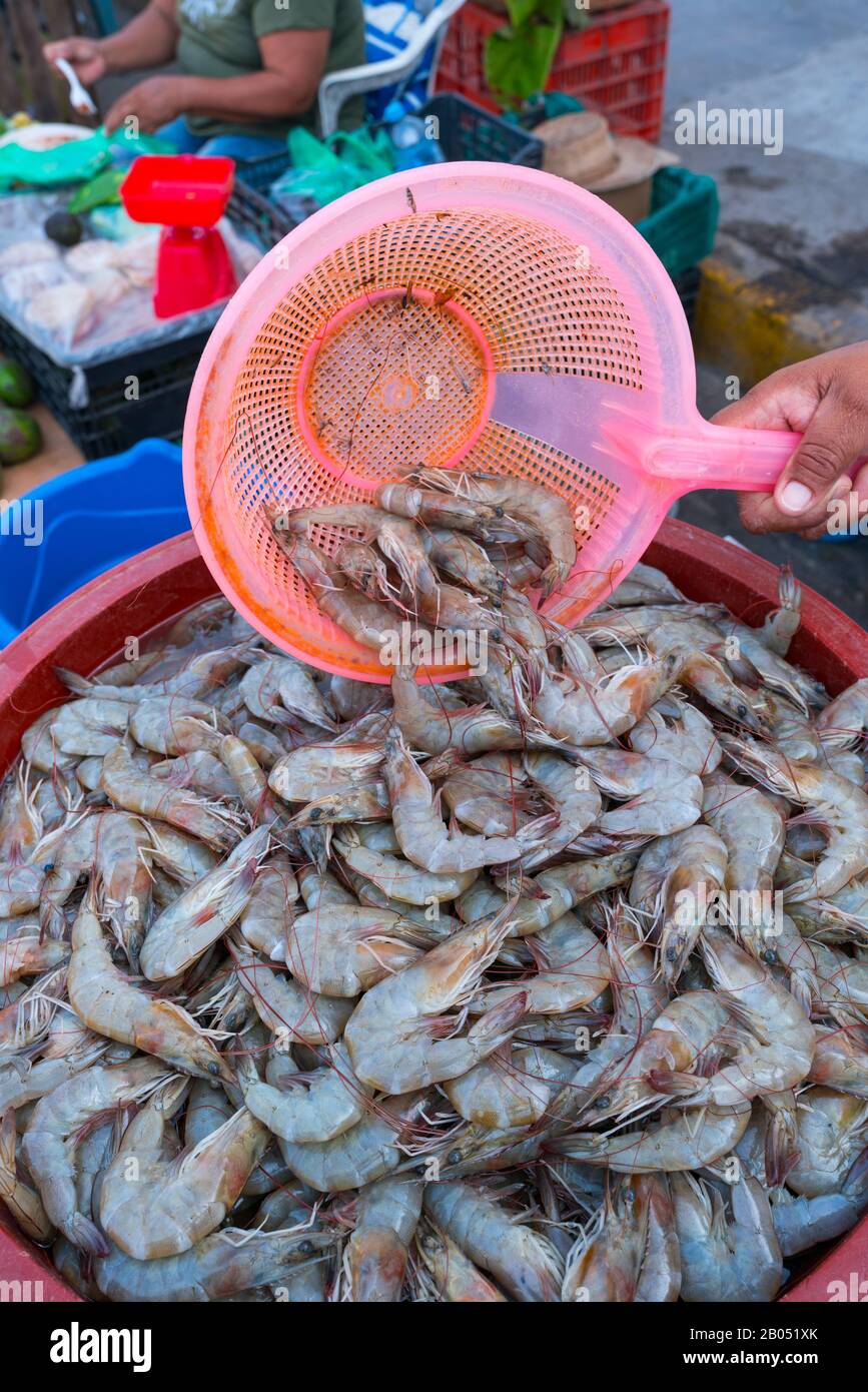 Fresh shrimp street stall , San Blas Town, Matanchen Bay, Pacific Ocean ...