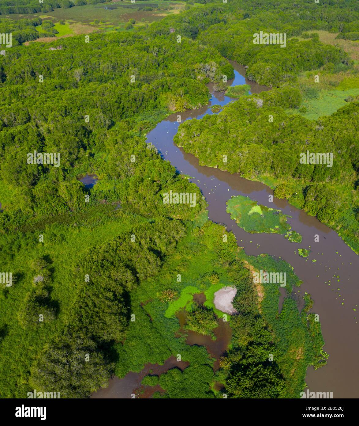 San Cristobal river, Bird sanctuary, San Blas Town, Matanchen Bay ...