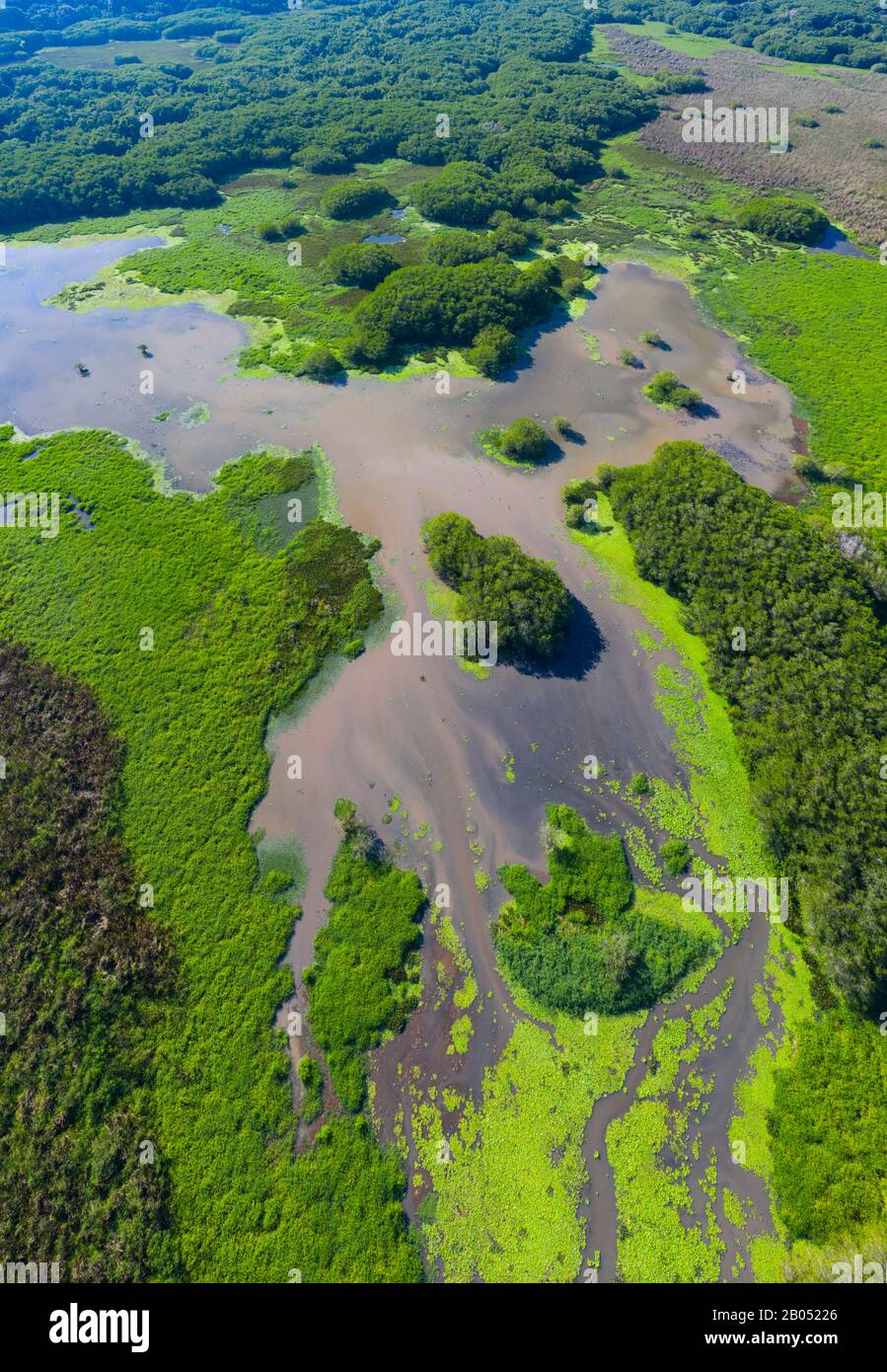 San Cristobal river, Bird sanctuary, San Blas Town, Matanchen Bay ...