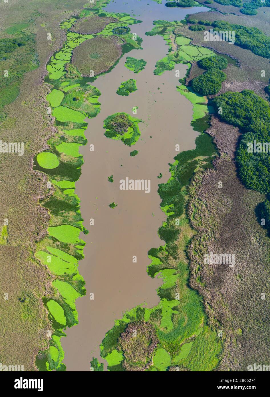 San cristobal river bird sanctuary hi-res stock photography and images ...