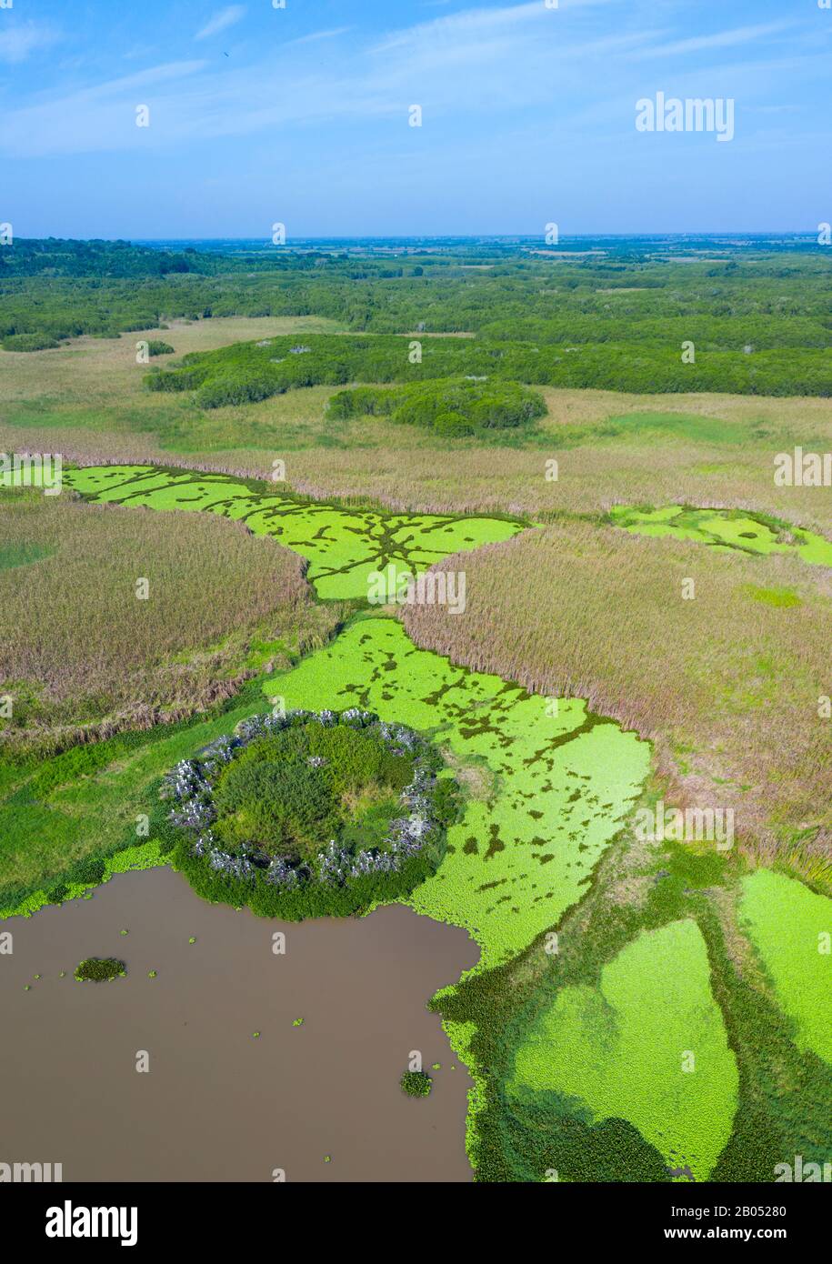 San Cristobal river, Bird sanctuary, San Blas Town, Matanchen Bay ...