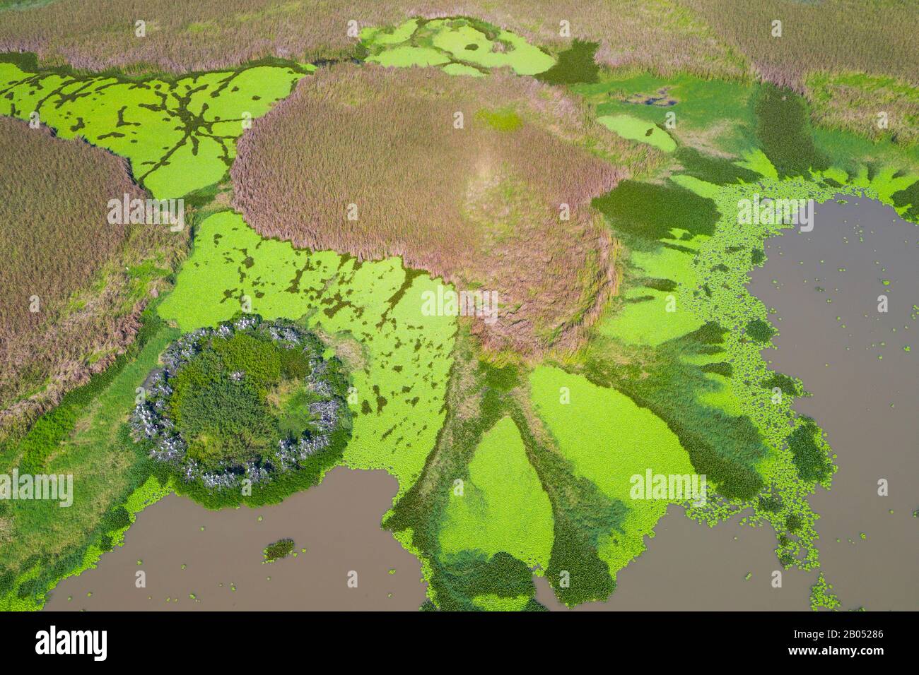 San Cristobal river, Bird sanctuary, San Blas Town, Matanchen Bay ...