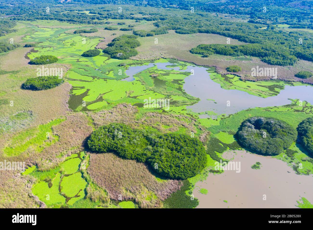 San Cristobal river, Bird sanctuary, San Blas Town, Matanchen Bay ...