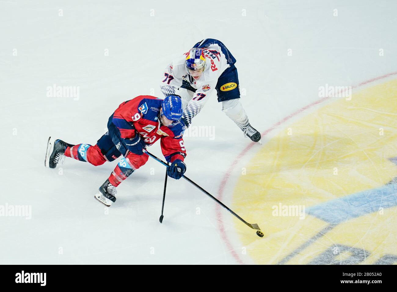 Jason And Bull High Resolution Stock Photography and Images - Alamy