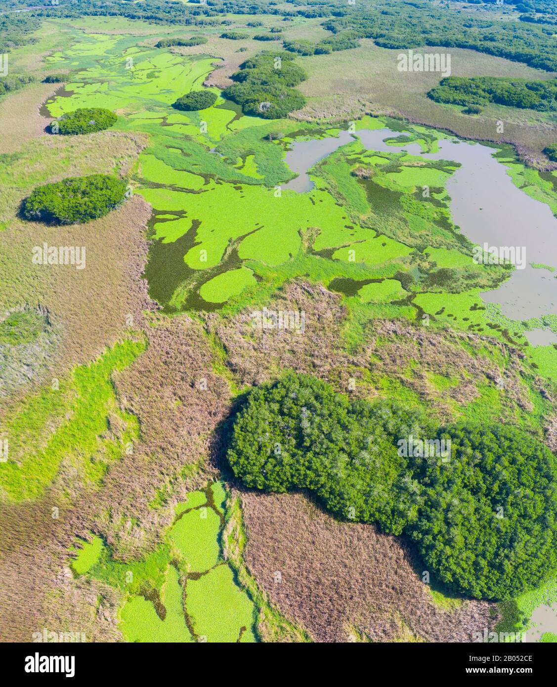 San cristobal river bird sanctuary hi-res stock photography and images ...