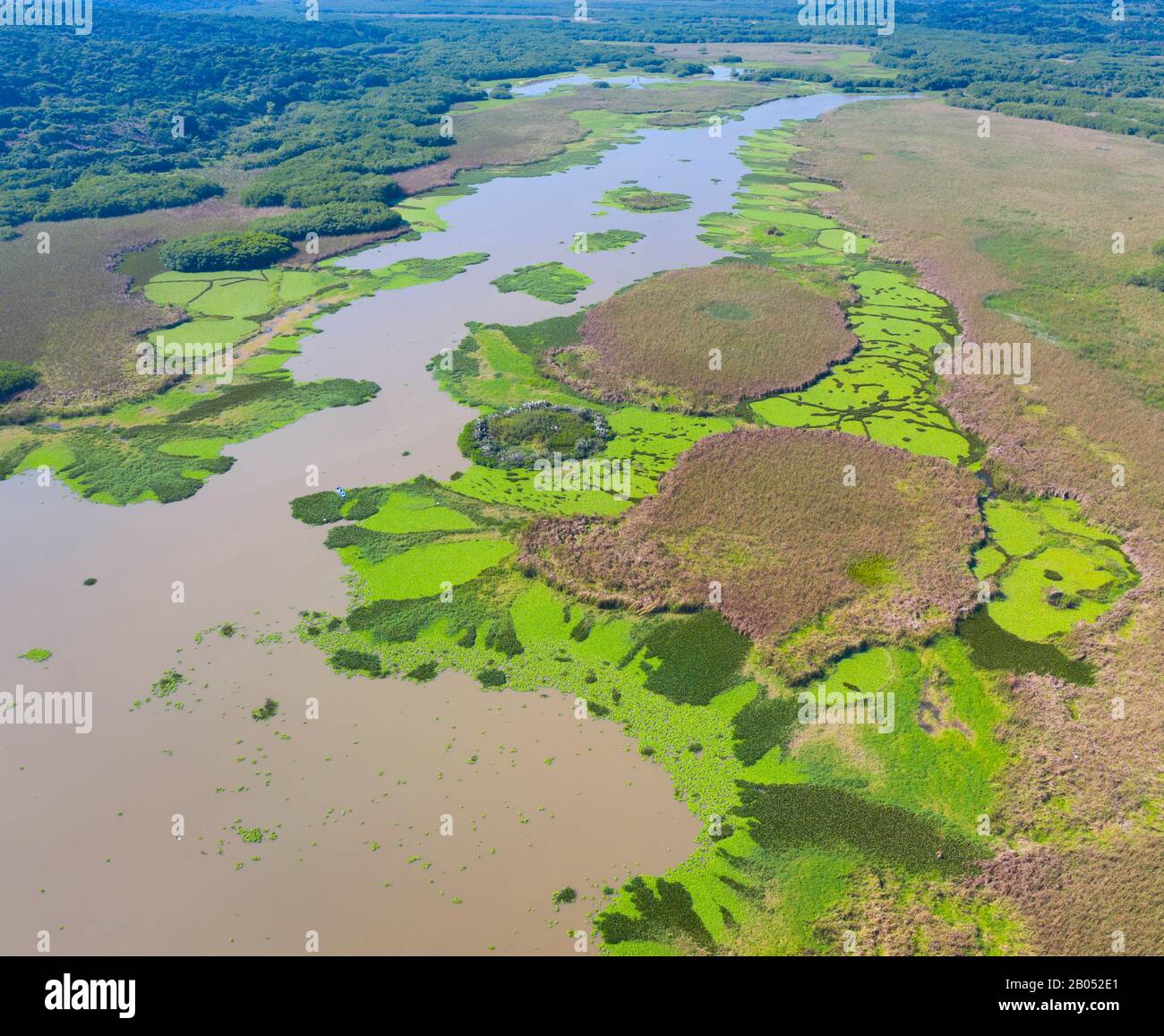 San cristobal river bird sanctuary hi-res stock photography and images ...